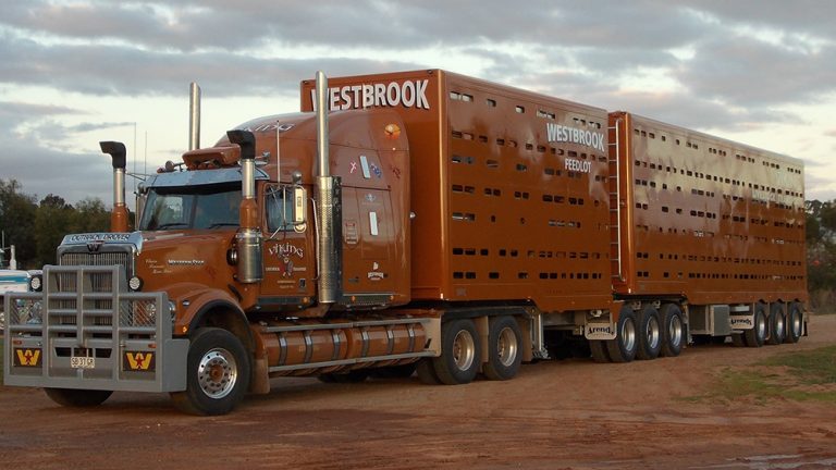 Arends Trailers | Murray Bridge SA | Convertible Trailers